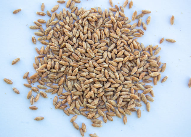 Products – Green Cover