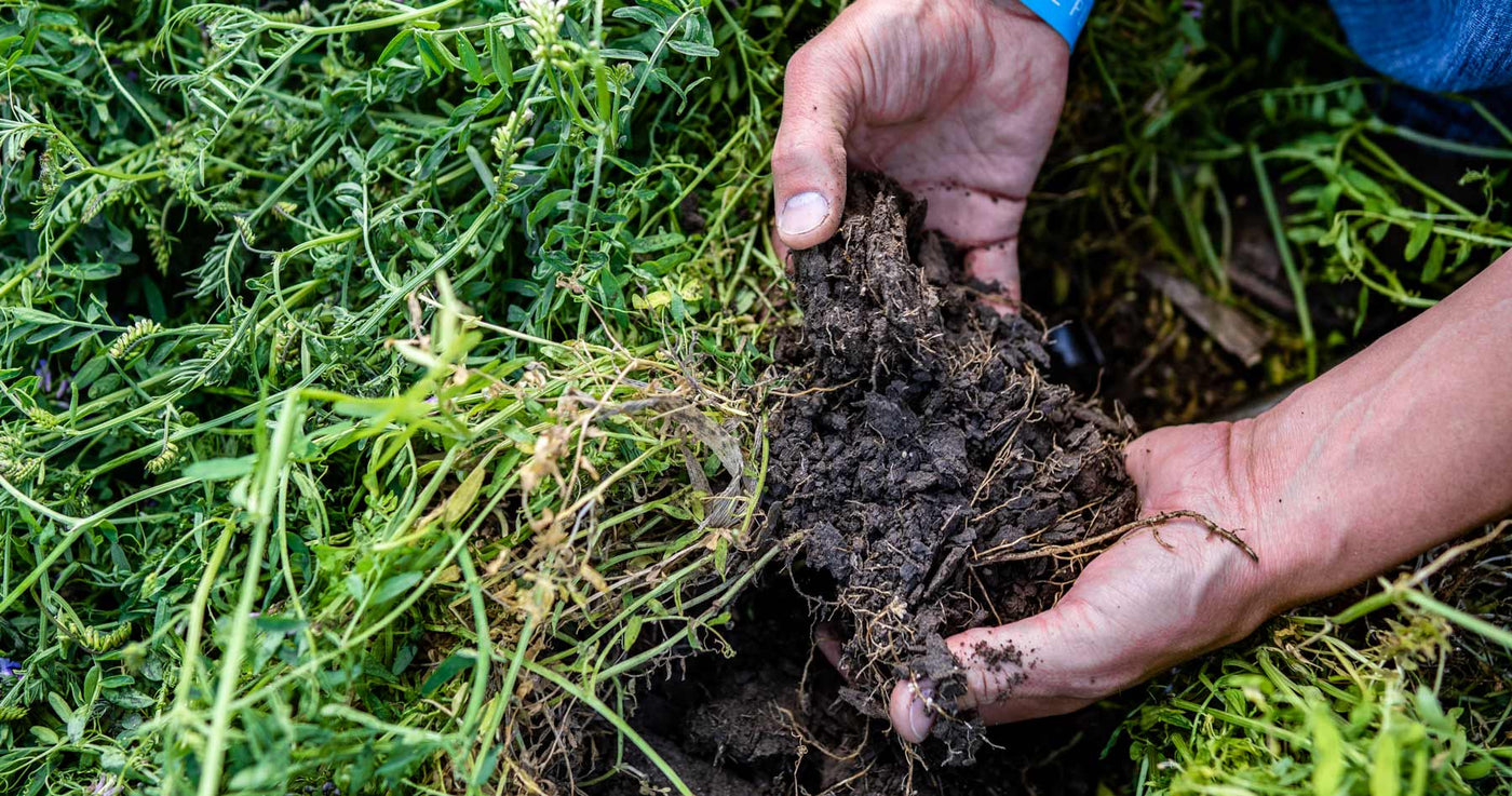 Pre-Made Base Mixes – Green Cover