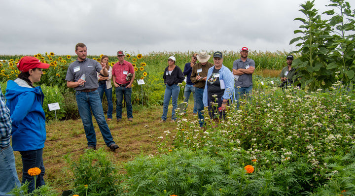 Cereal Rye (Elbon) – Green Cover