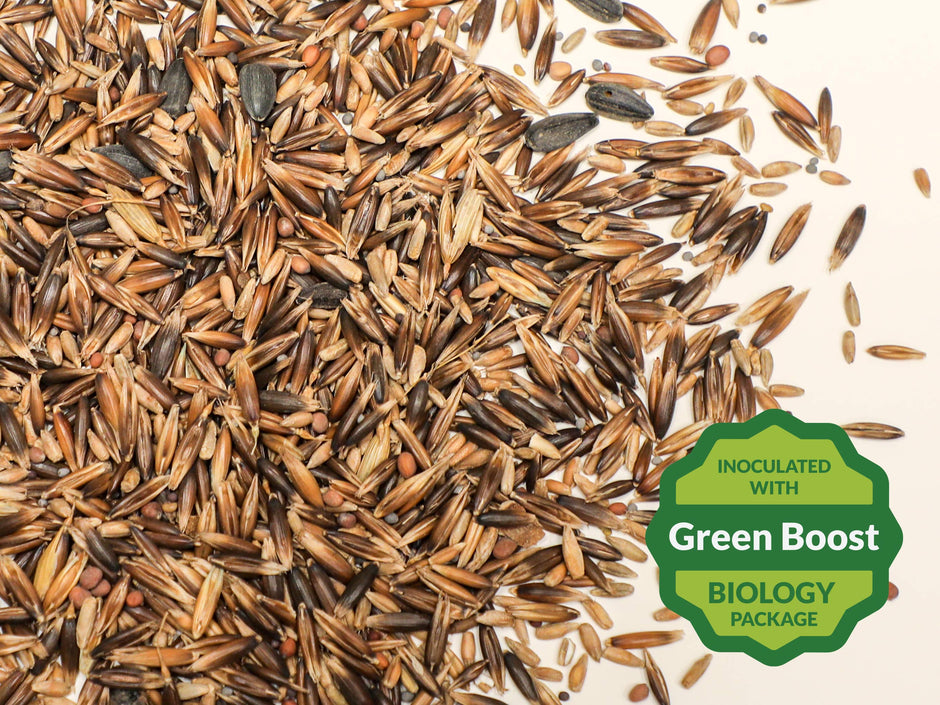 Super Fall Release – Green Cover