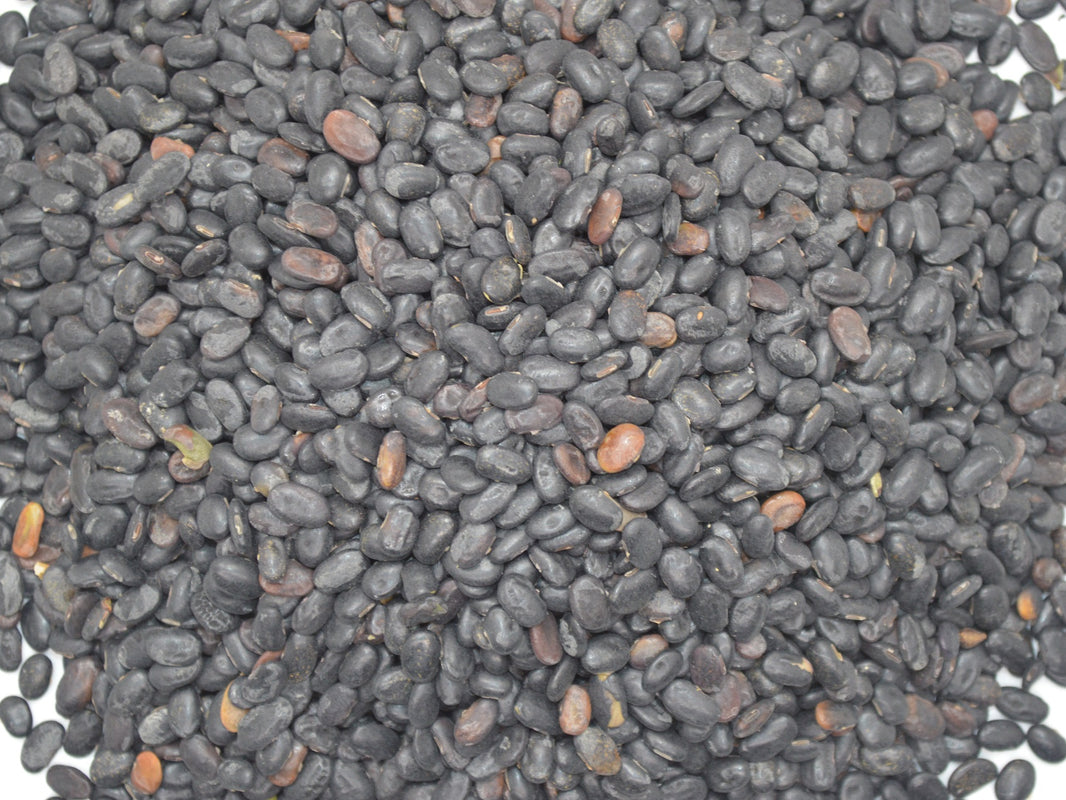 Forage Soybeans (Laredo) – Green Cover