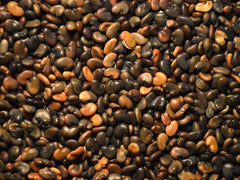 Single Species Seed – Green Cover